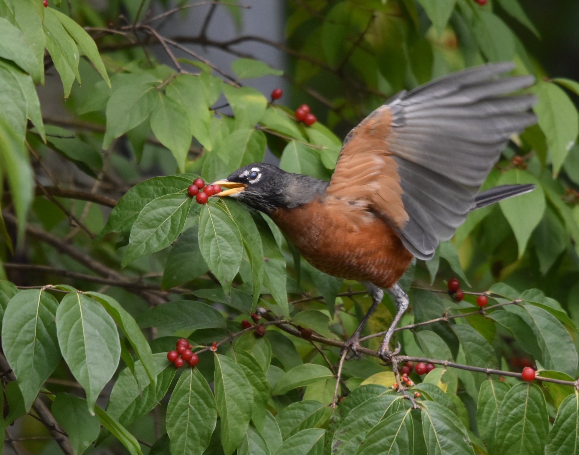 The Best of October – Picture Walks
